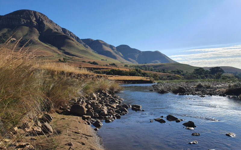 Case study #5: Inkomati-Usuthu – Nexogenesis