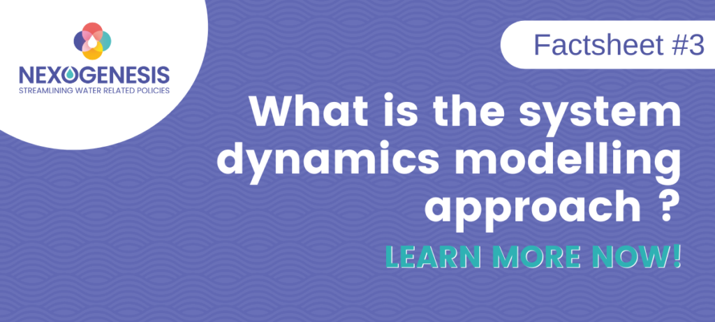 Factsheet #3: What is the system dynamics modelling approach ...