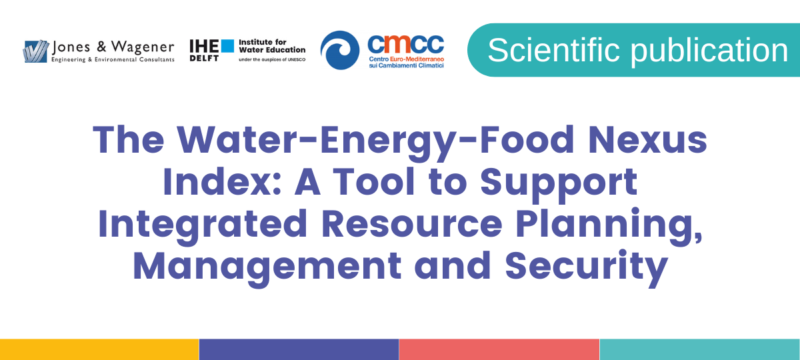 Validation of the WEFE Nexus Index in the Southern African Development ...
